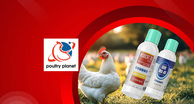 Poultry Planet – Trusted Animal Medicines & Vaccines for Healthy Livestock